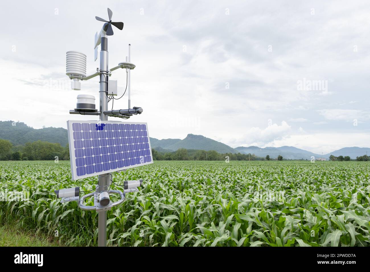 Weather station in corn field, 5G technology with smart farming concept ...
