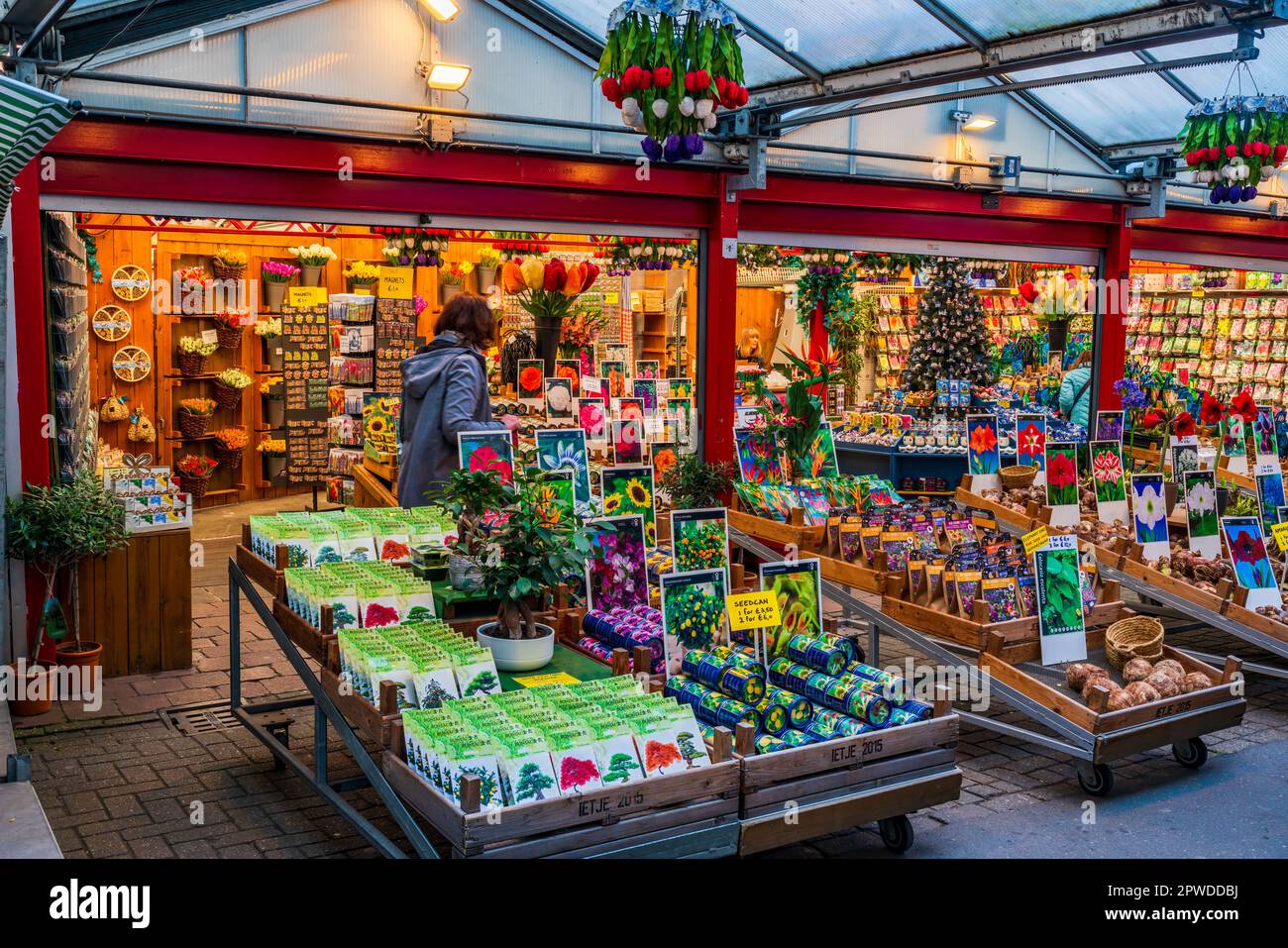 AMSTERDAM, HOLLAND - APRIL 17, 2023: Flower market in Amsterdam. Founded in 1862, the market is ...