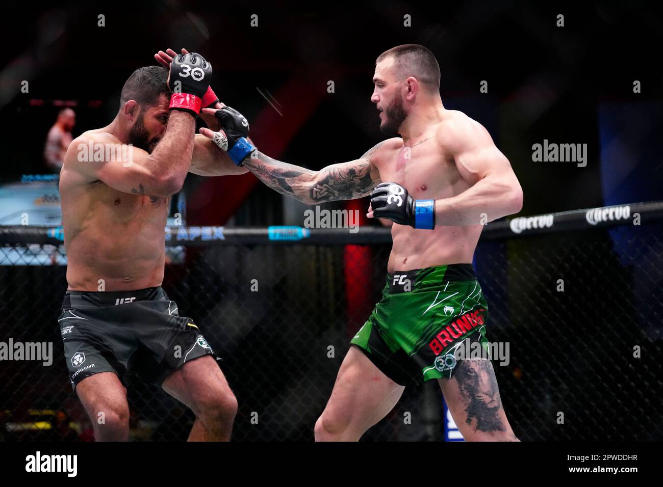 Rodolfo vieira and cody brundage hi-res stock photography and images ...