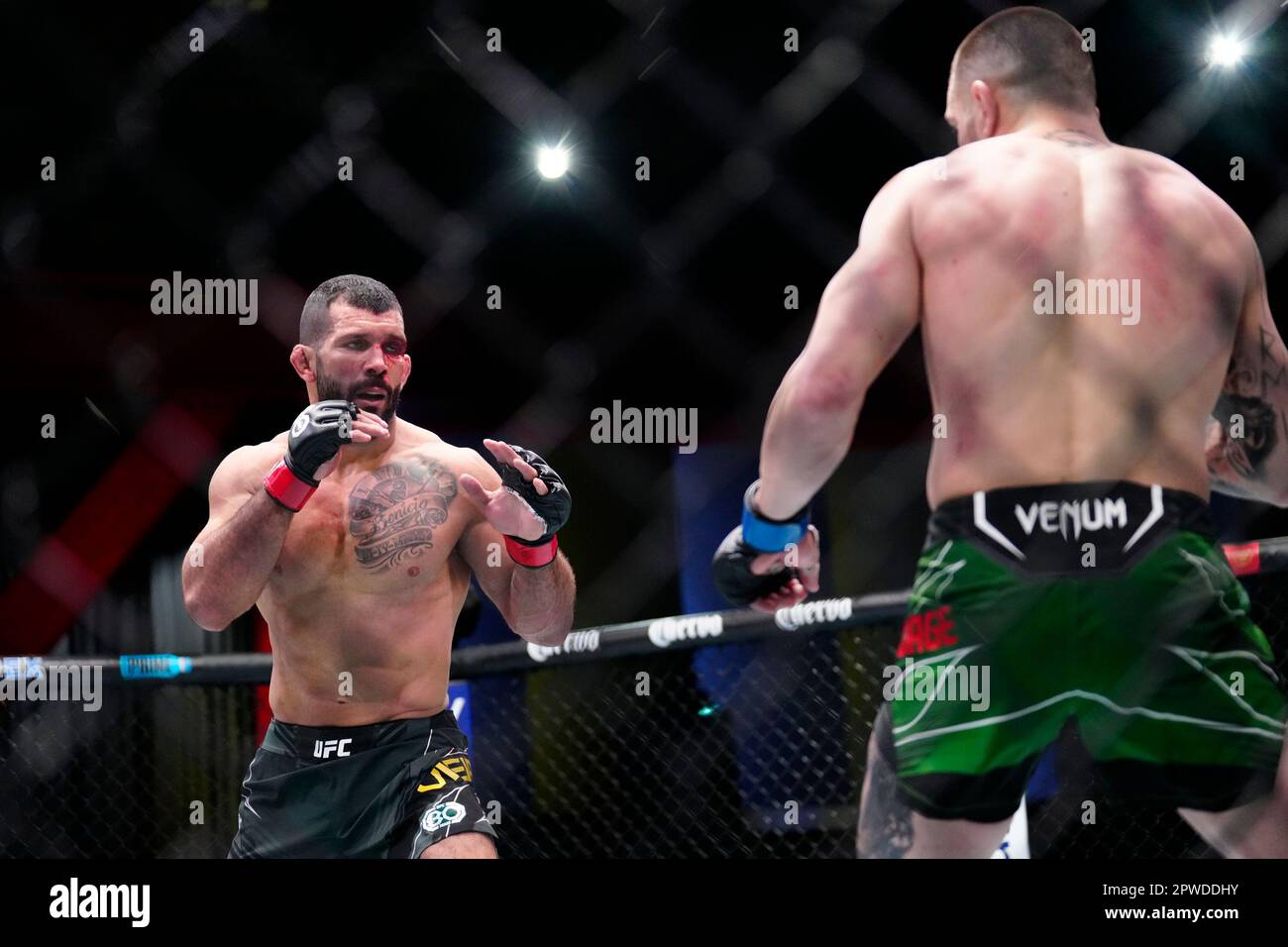 Rodolfo Vieira Venum