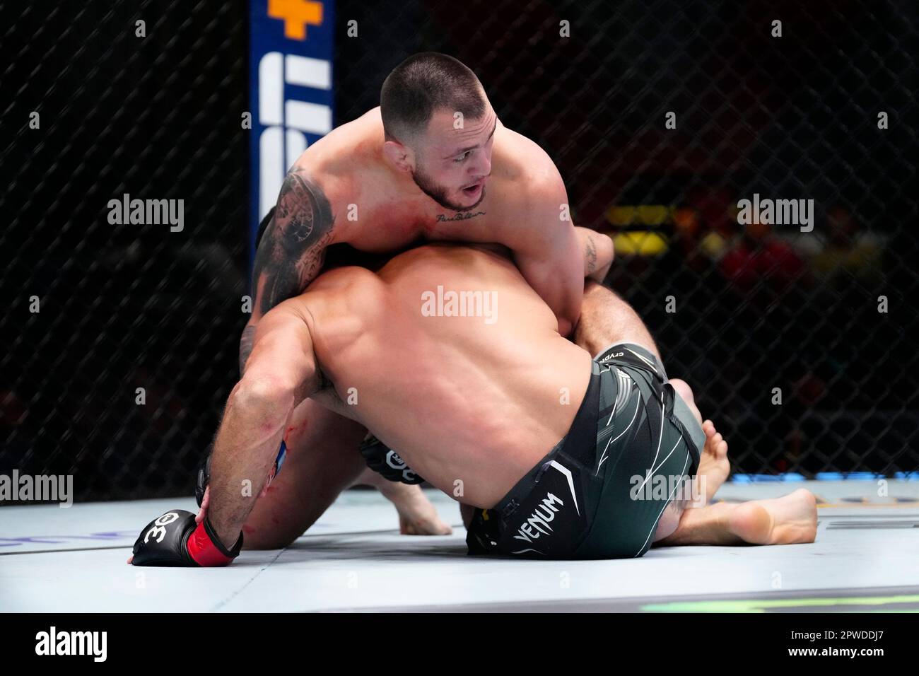 Rodolfo vieira and cody brundage hi-res stock photography and images ...