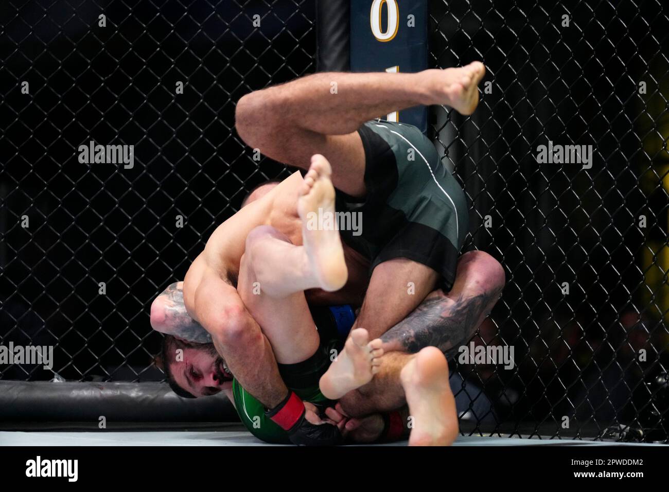 Rodolfo vieira and cody brundage hi-res stock photography and images ...