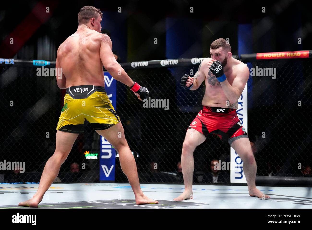 LAS VEGAS, NV - April 29: Caio Borralho and Michal Oleksiejczuk in a ...