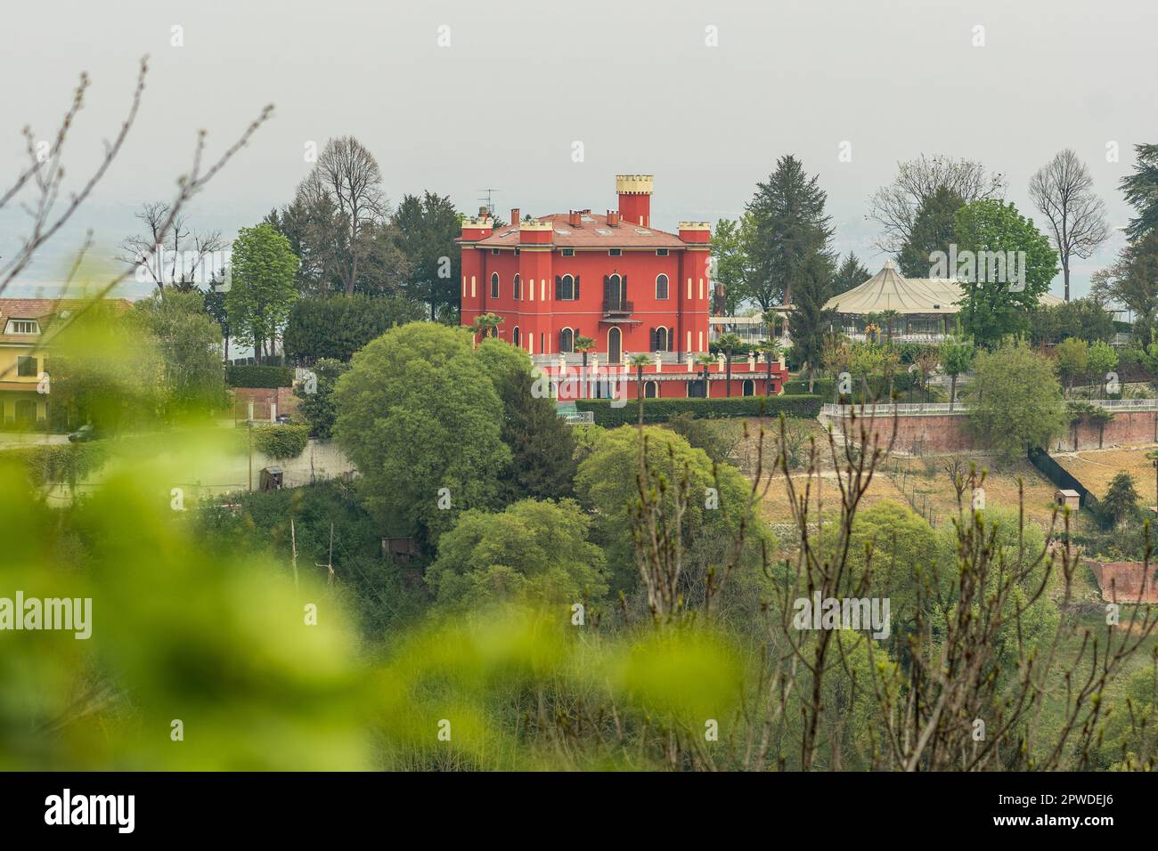 Po plants hi-res stock photography and images - Alamy