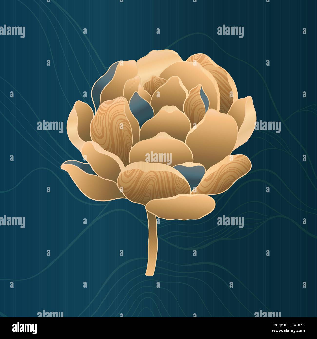 Lotus flowers for luxury and exclusive use in design. Water lilies in ...