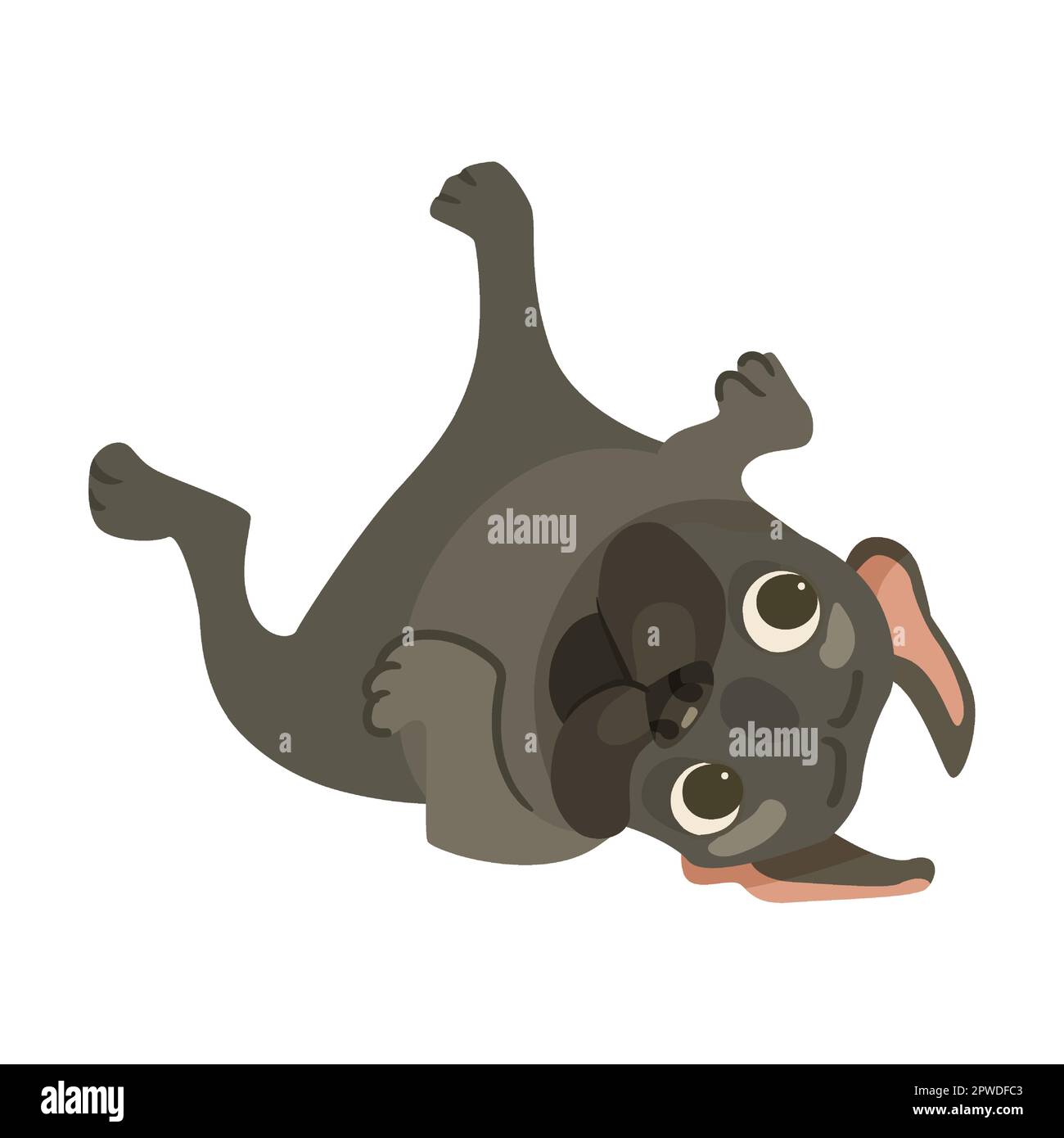 Cute French bulldog lies on his back, cartoon illustration. Funny and ...