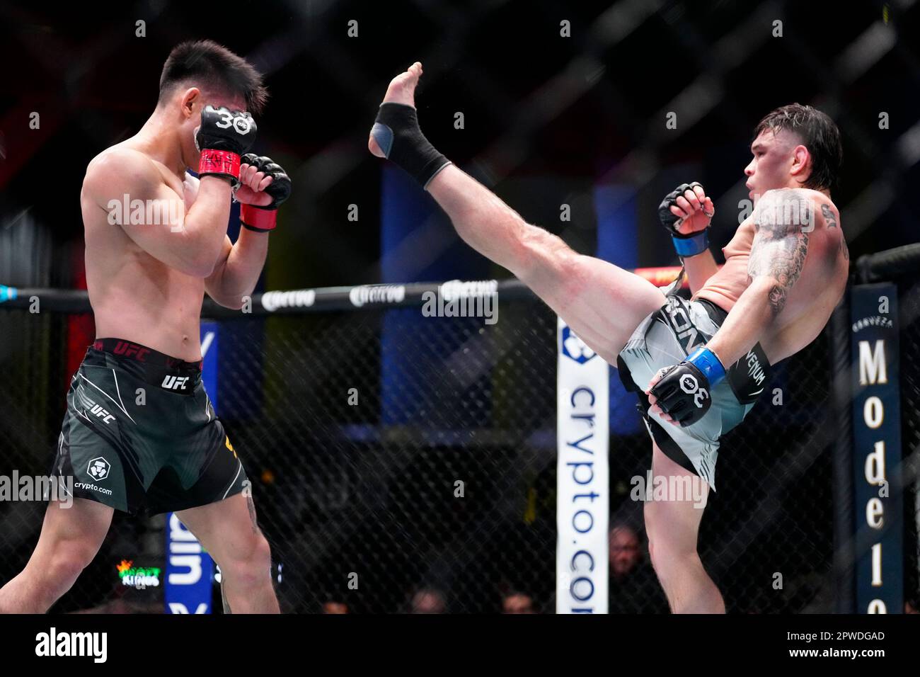 Song yadong and ricky simon hi-res stock photography and images - Alamy