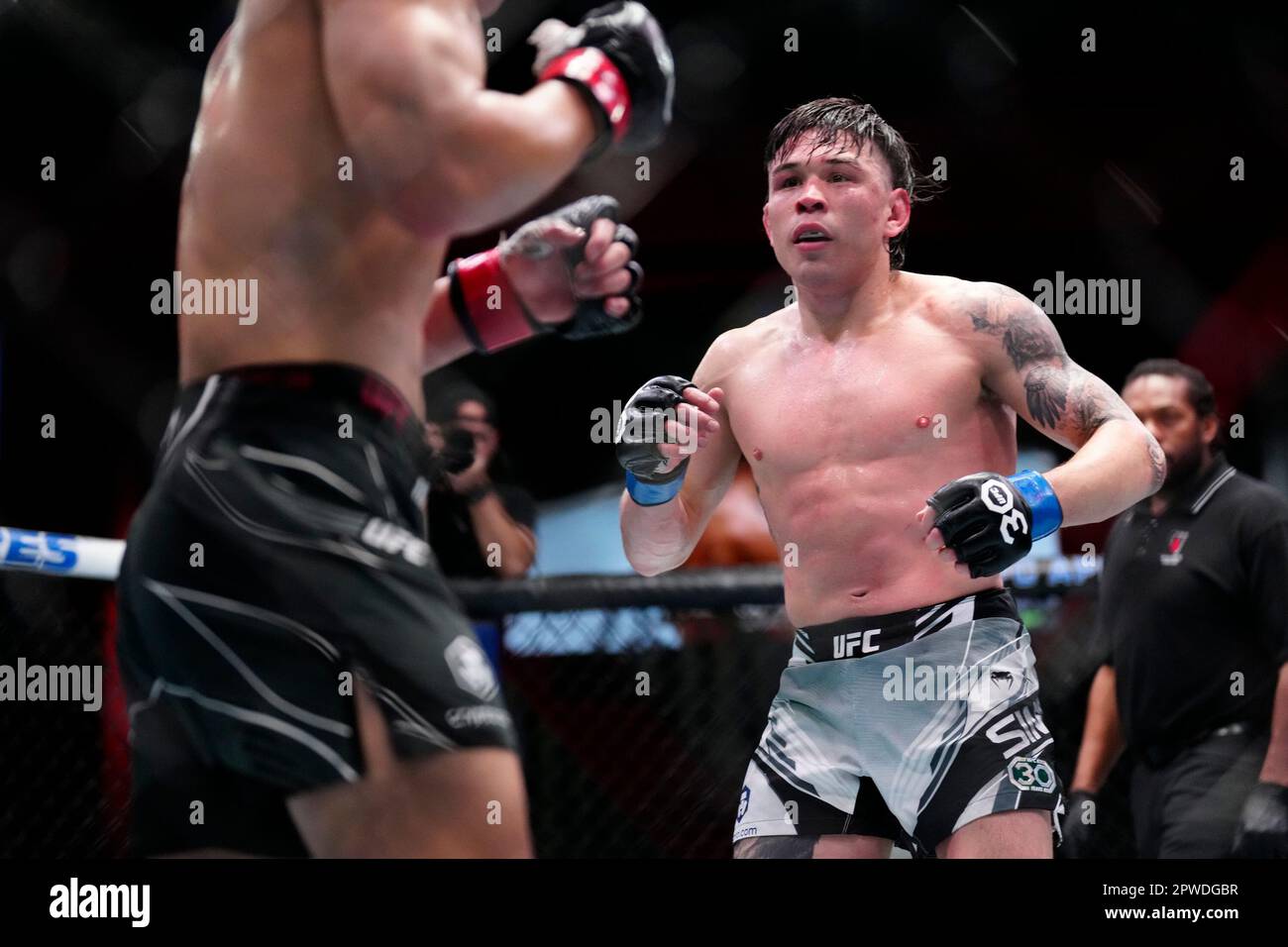 LAS VEGAS, NV - April 29: Song Yadong and Ricky Simon fight in a ...