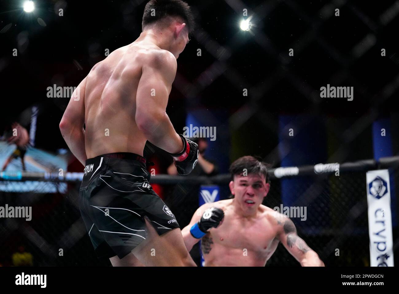 LAS VEGAS, NV - April 29: Song Yadong and Ricky Simon fight in a ...