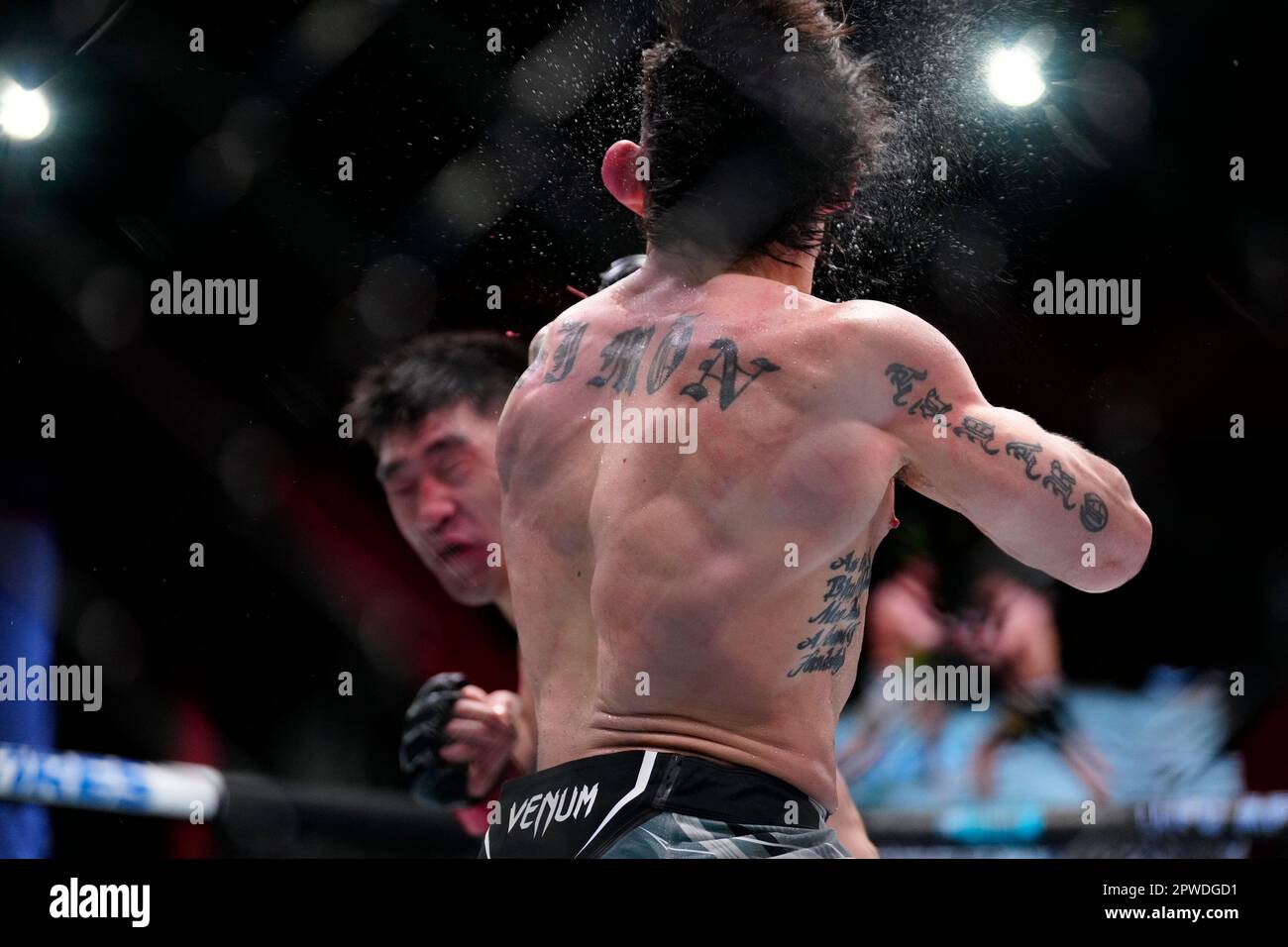 LAS VEGAS, NV - April 29: (L-R) Song Yadong punches Ricky Simon fight ...