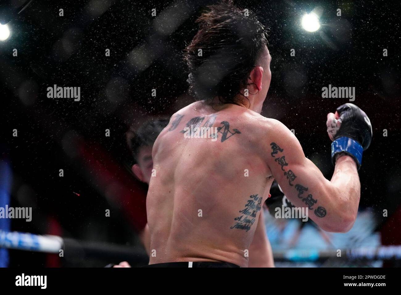 LAS VEGAS, NV - April 29: Song Yadong and Ricky Simon fight in a ...
