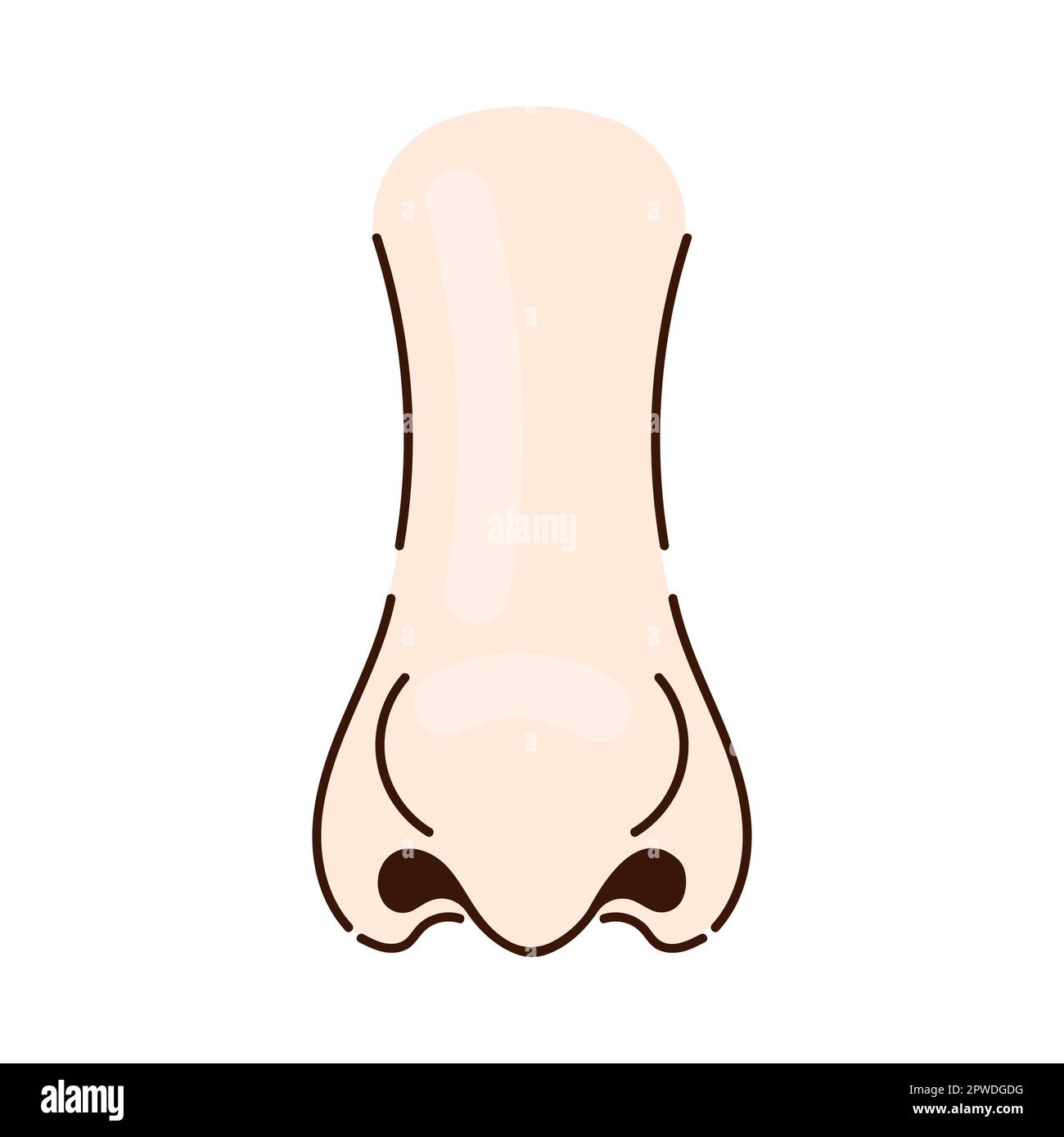 Slim nose of person with thin nostrils cartoon illustration Stock ...