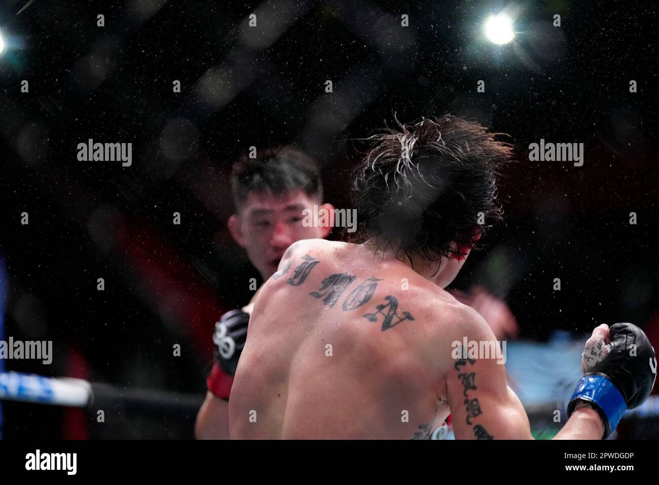 LAS VEGAS, NV - April 29: Song Yadong and Ricky Simon fight in a ...