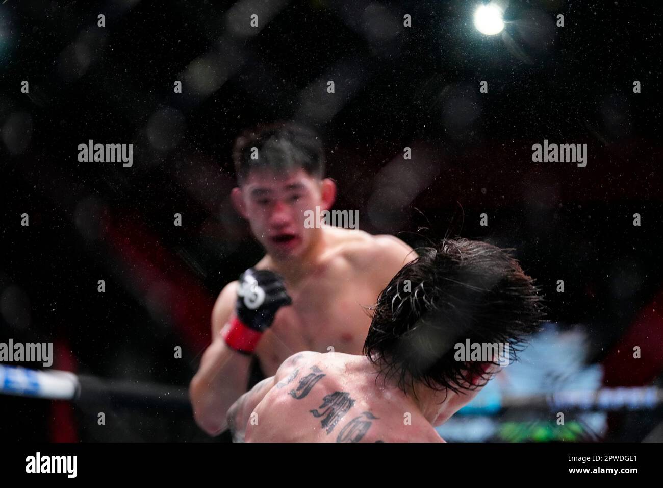 LAS VEGAS, NV - April 29: Song Yadong and Ricky Simon fight in a ...