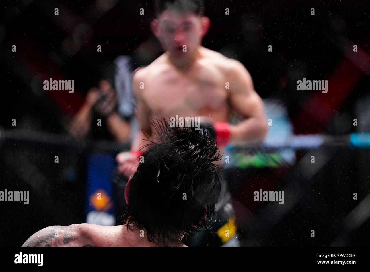 LAS VEGAS, NV - April 29: Song Yadong and Ricky Simon fight in a ...