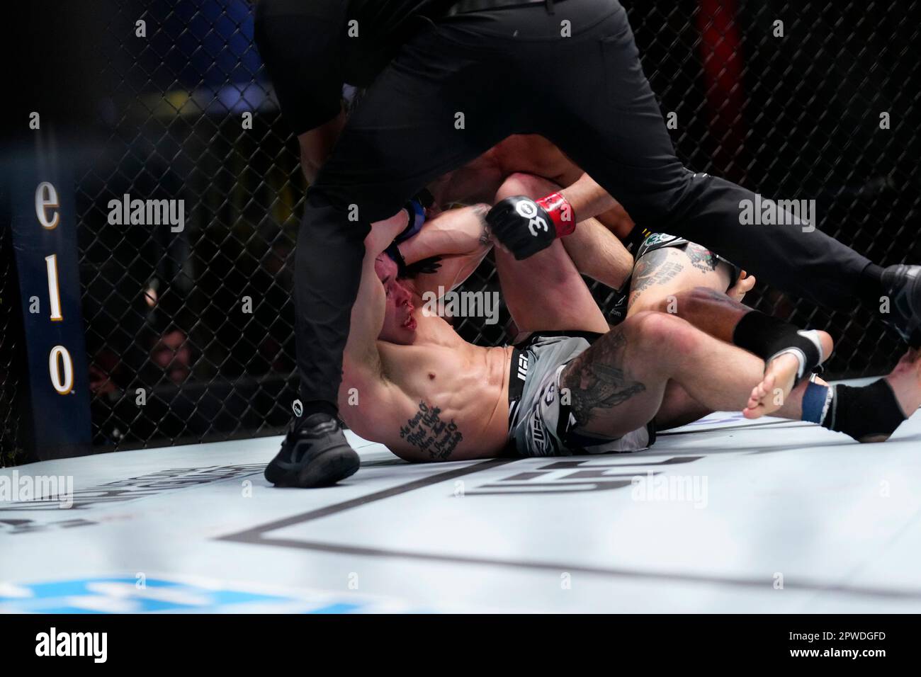 Ricky simon ufc hi-res stock photography and images - Alamy