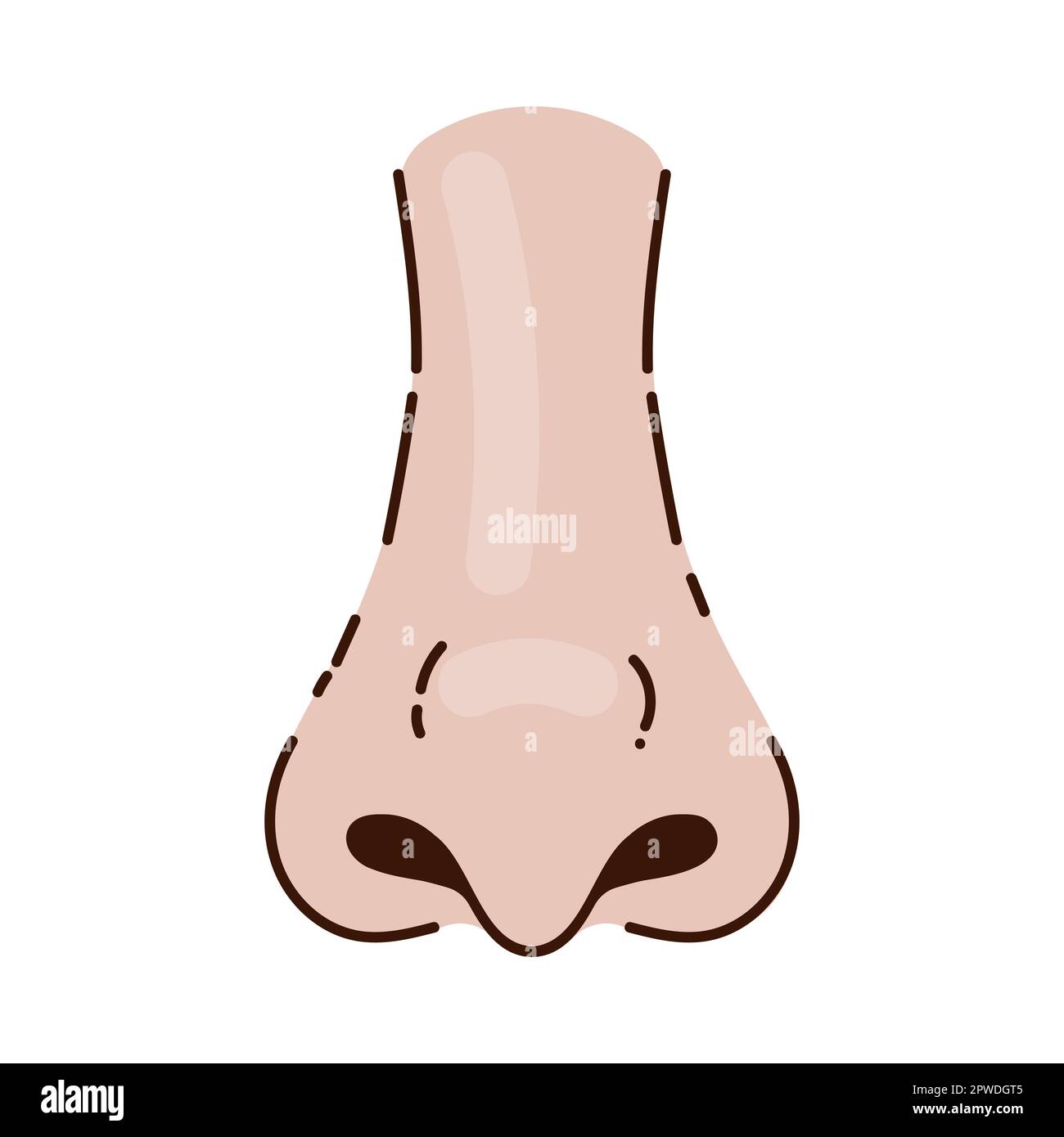 Thin nose of white person with pointy tip cartoon illustration Stock ...