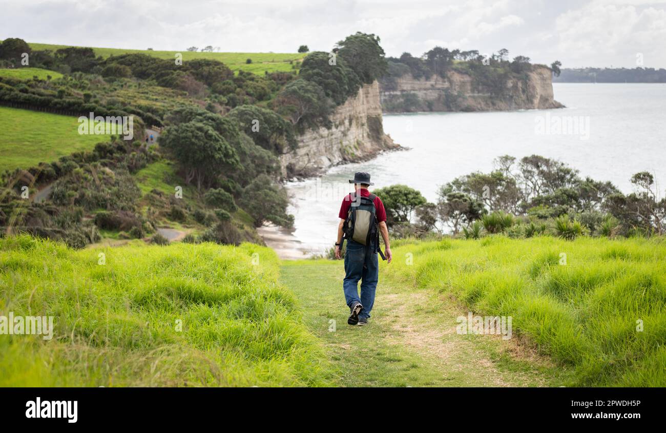 Man walking the Long Bay coastal walk. Auckland Stock Photo - Alamy