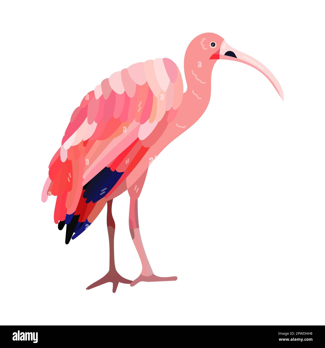 Pink ibis and tropical bright bird Stock Vector Image & Art - Alamy