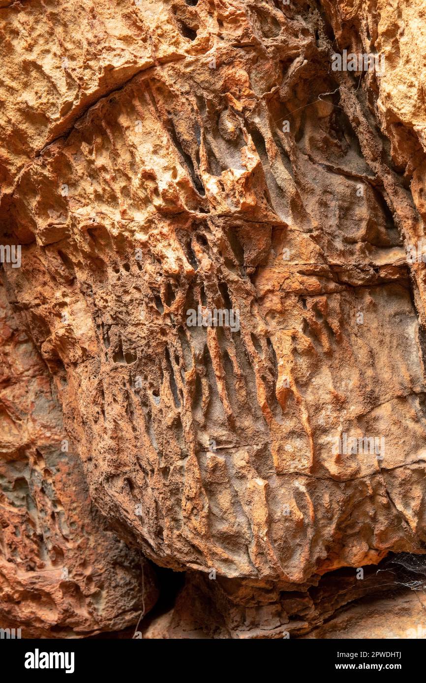 Honeycomb Erosion in Sandstone Rocks at Jar Island, Kimberley Coast, WA ...