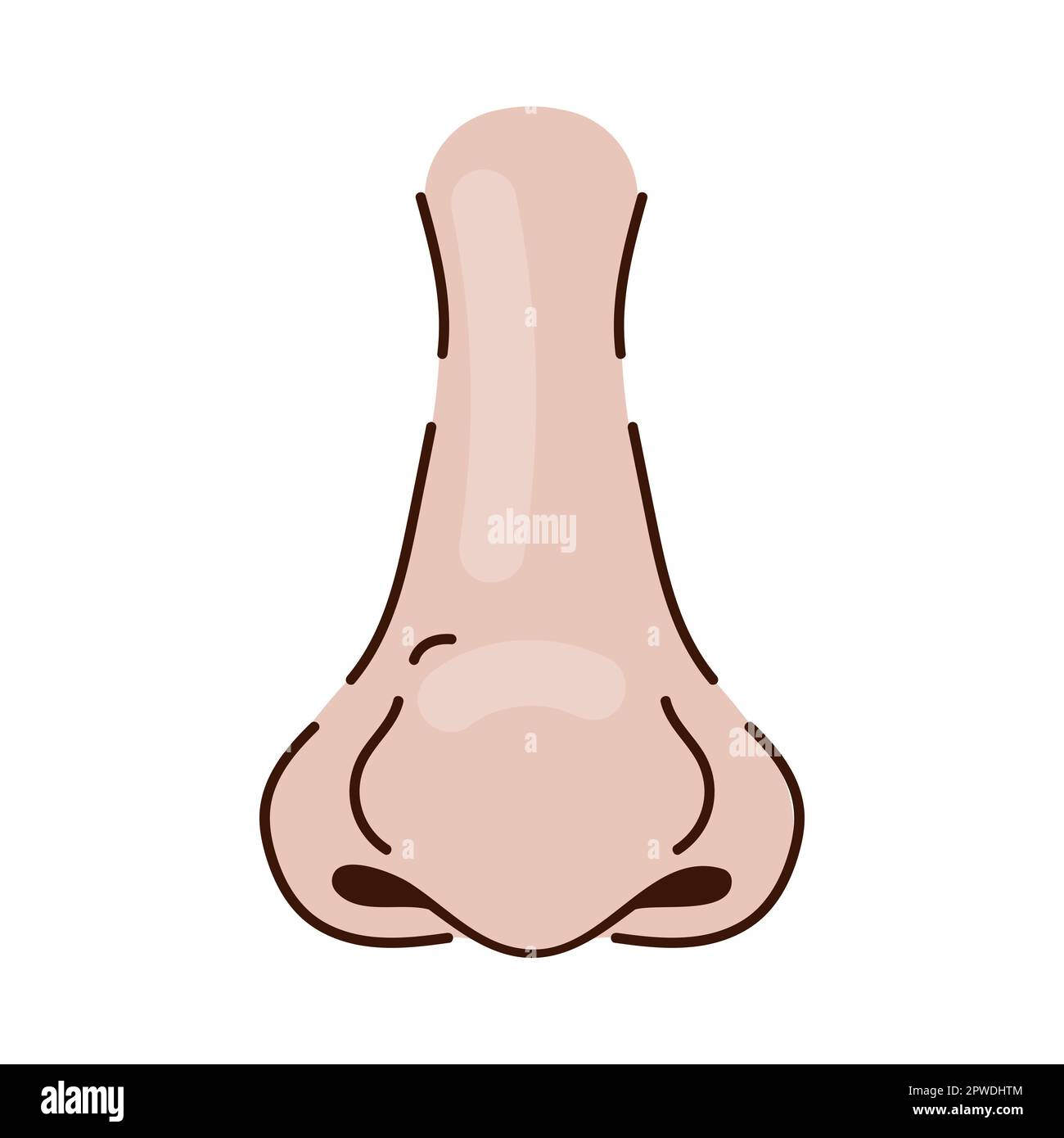 Wide nose of Caucasian person with big tip cartoon illustration Stock ...