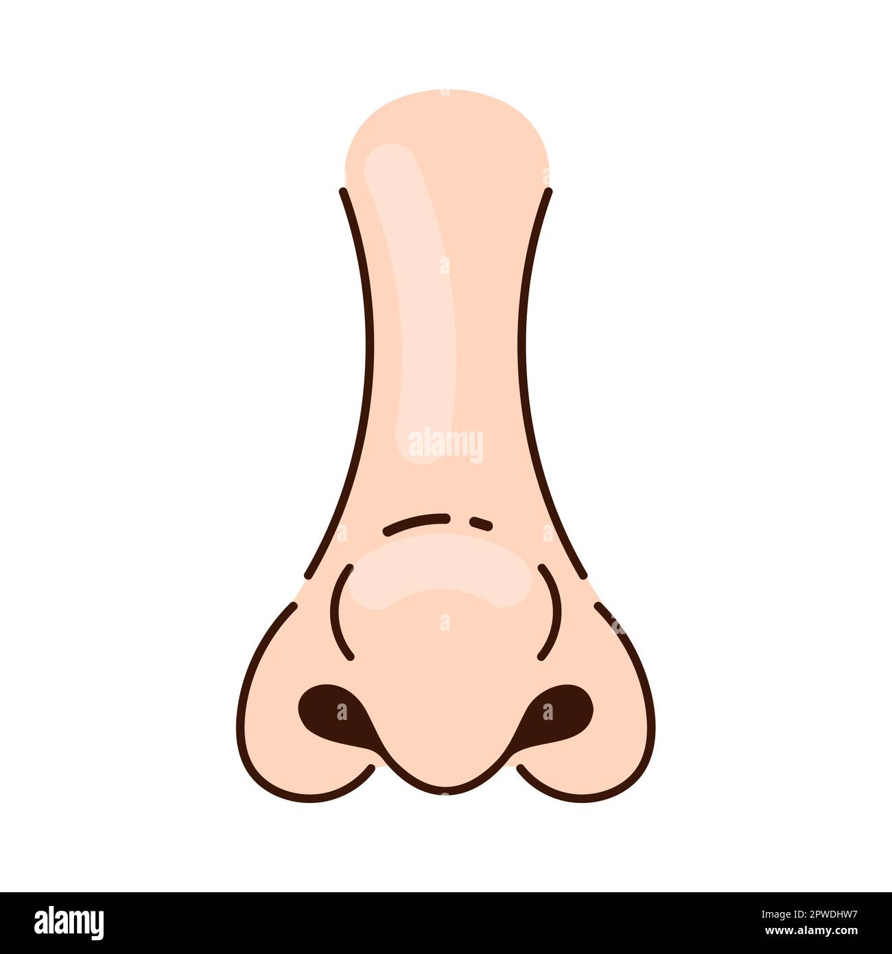 Nose of white person with big nostrils cartoon illustration Stock ...