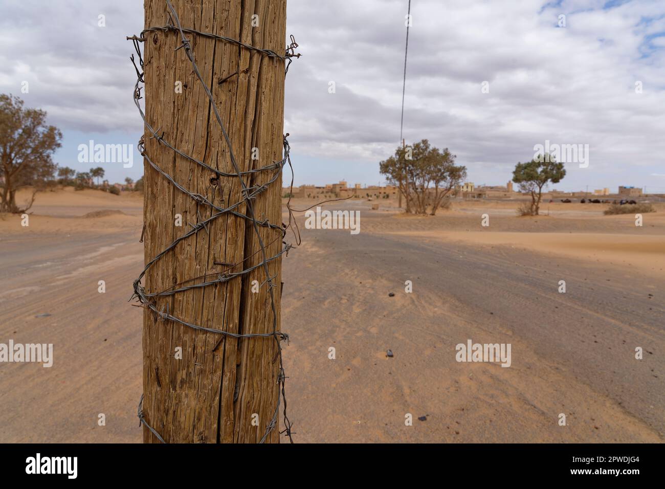 Close-up of an old wooden pole wrapped with barbed wire, in the ...