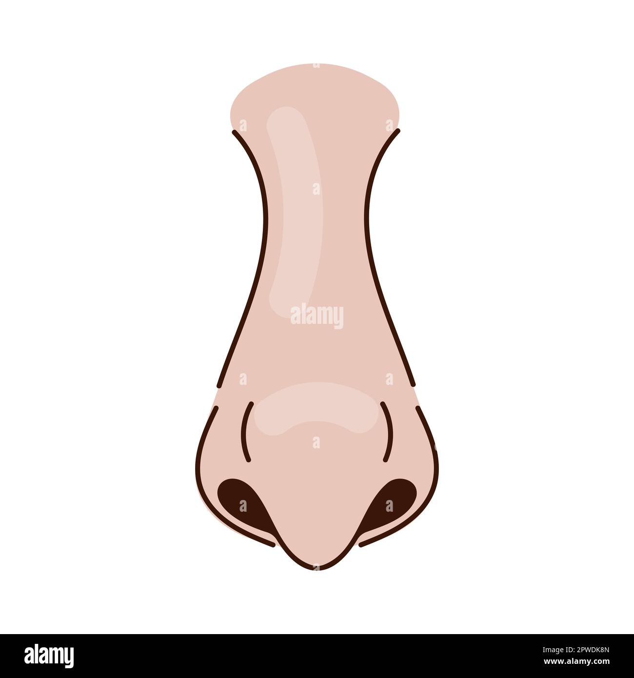 Thin nose hi-res stock photography and images - Alamy