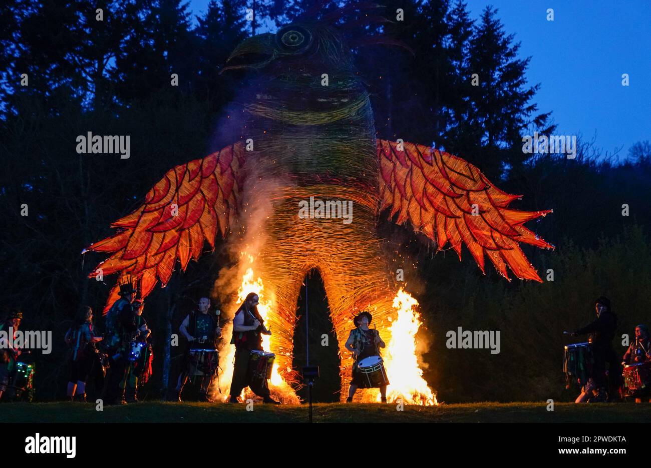 Members of the Pentacle Drummers perform in front of a burning wicker ...