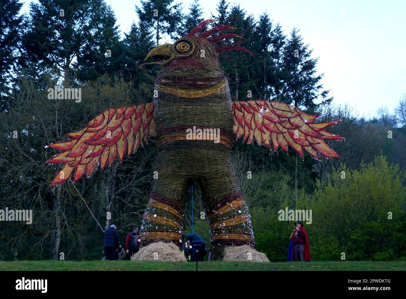 The wings on a Phoenix 'wicker man' are raised into position prior to ...