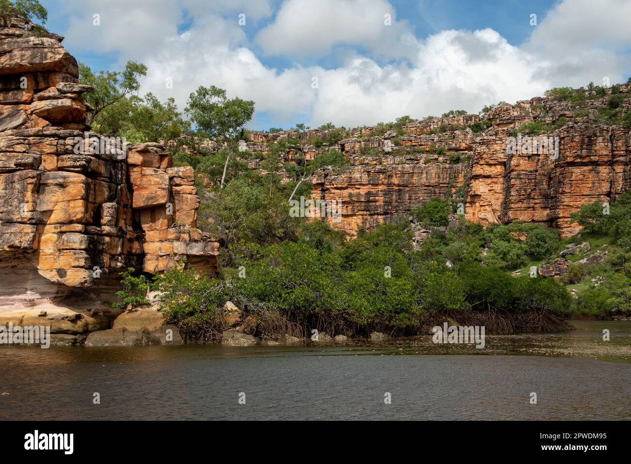 Sandstone Cliffs and Mangroves on King George River, Kimberley Coast ...