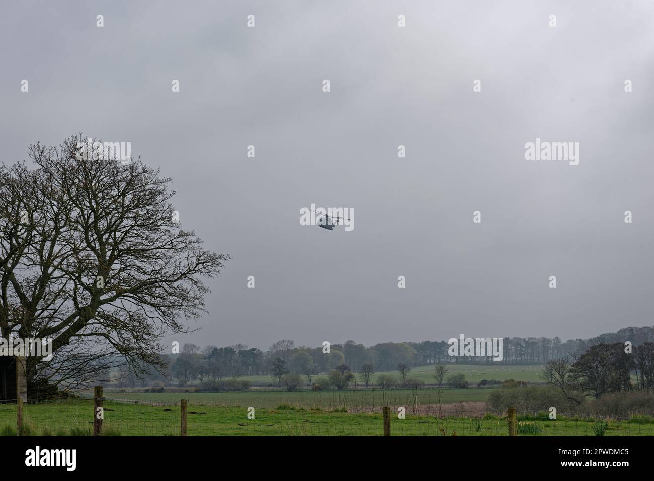 Royal navys commando helicopter force hi-res stock photography and ...