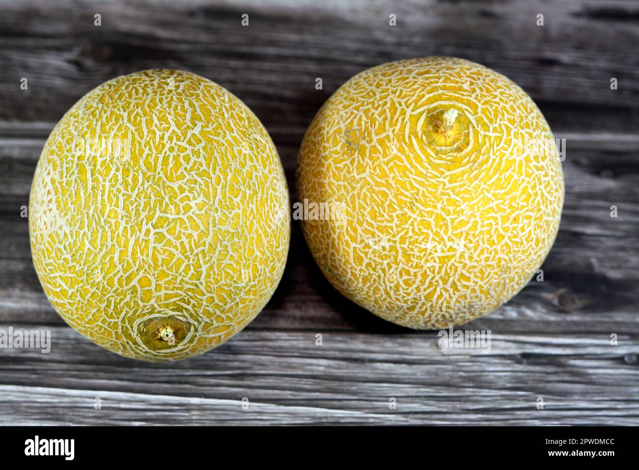 The cantaloupe, rockmelon (Australia and New Zealand, although ...