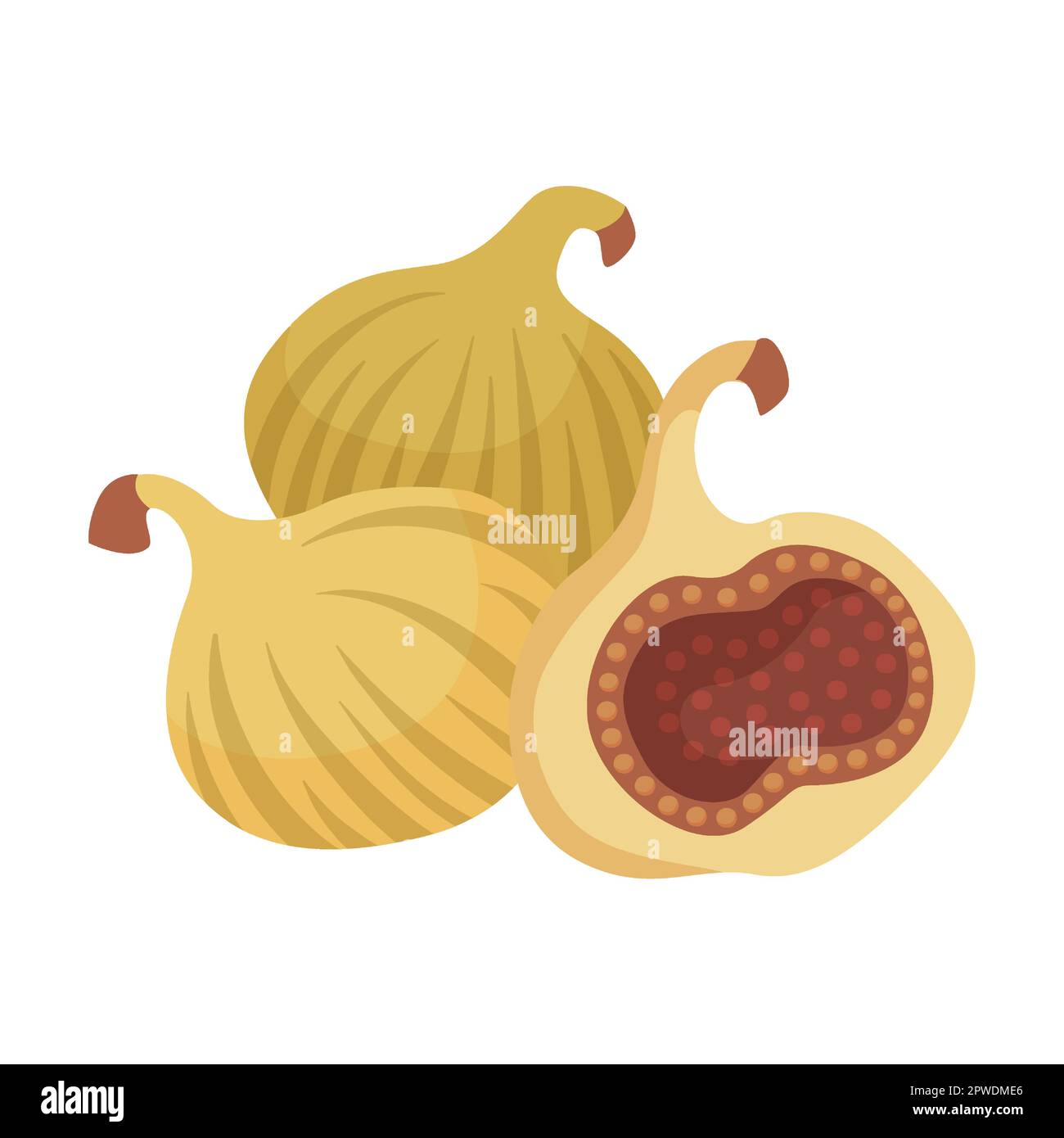 dried oriental fig fruit cartoon illustration. Dried Tropical fruit ...