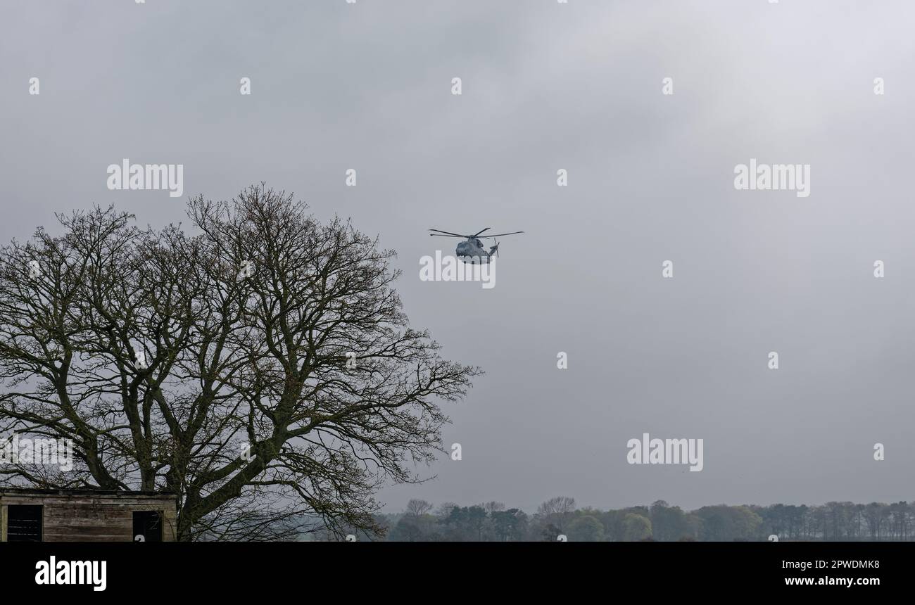 A Merlin Mk 4 Helicopter approaching HMS Condor flying over the Fields ...