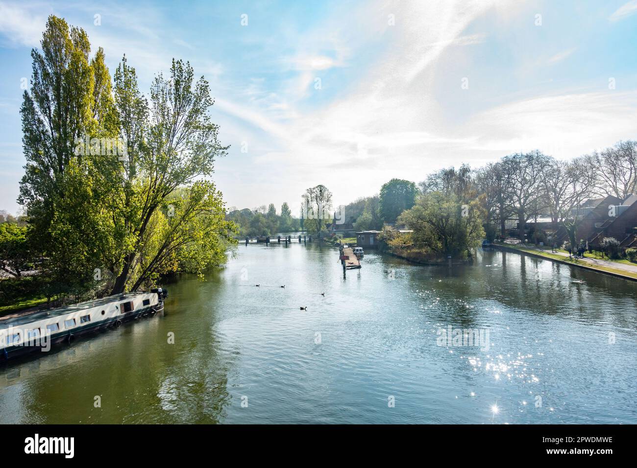 A view along The Right Thames at Reading in Berkshire, UK. A quiet and ...