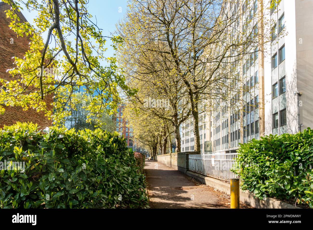 Nature Vs Man Made Structures