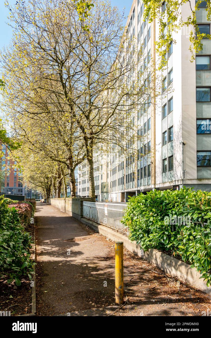 Nature meets man-made structures with trees and greenery growing ...