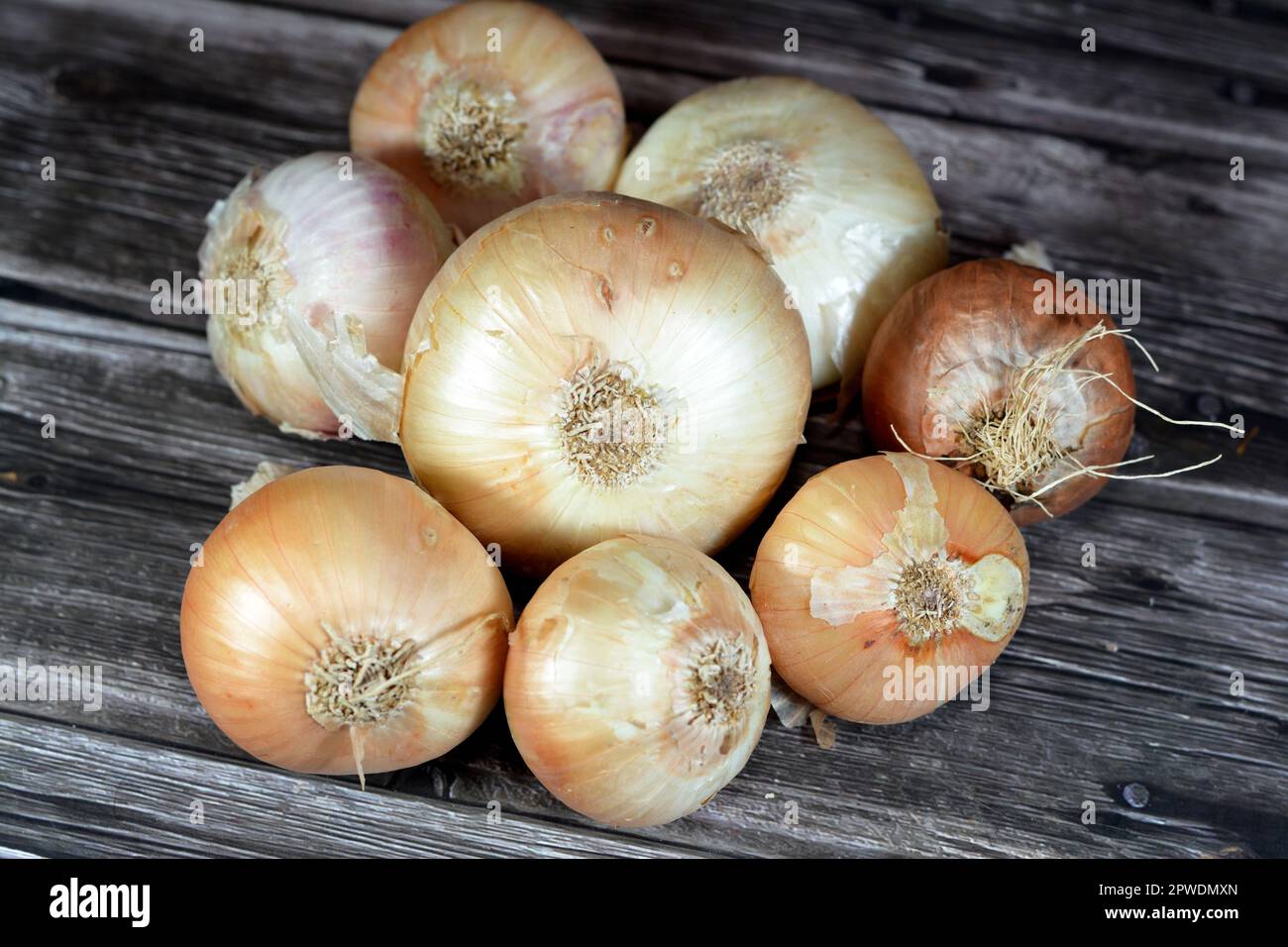 Pile of onions, the bulb onion or common onion, is a vegetable that is ...