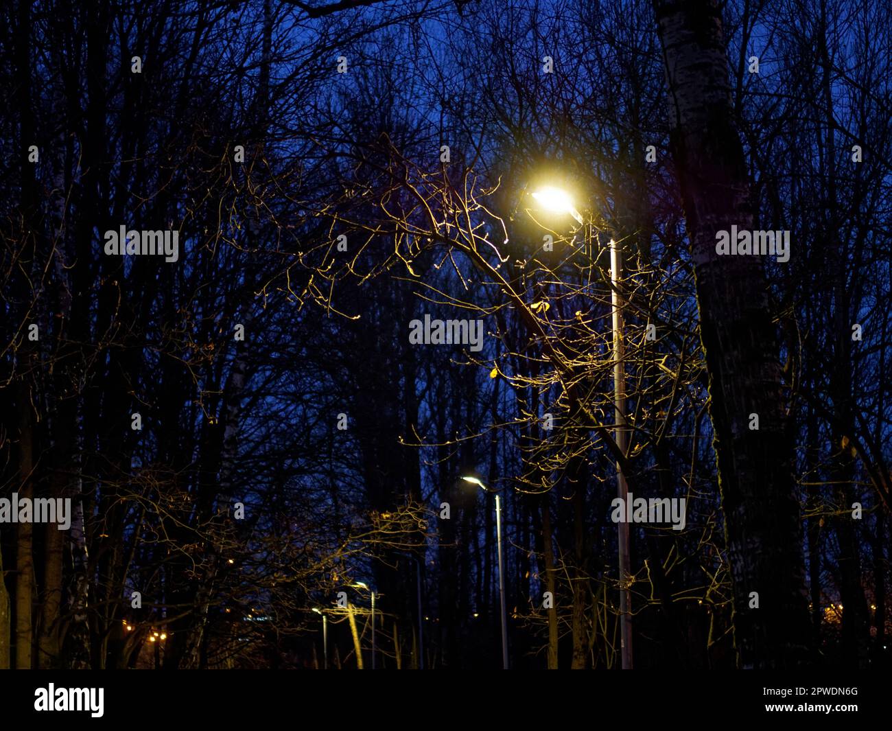 Early morning street lamp hi-res stock photography and images - Alamy