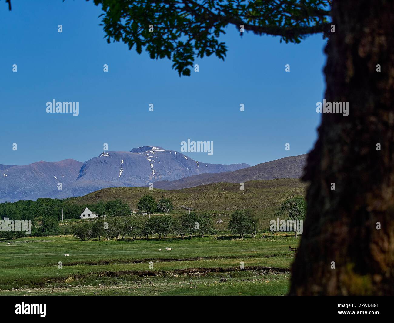 Ben Nevis is the highest mountian in Scotland, UK Stock Photo - Alamy