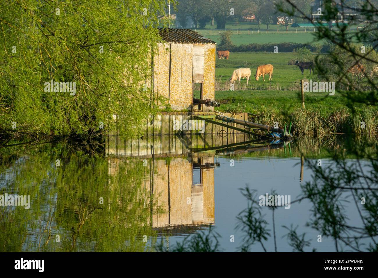 Agrecutural water abstraction from the River Yare Stock Photo - Alamy