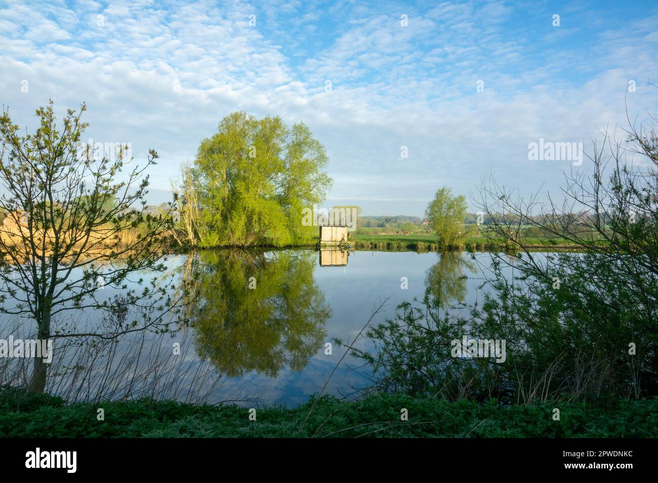 Rspb surlingham hi-res stock photography and images - Alamy