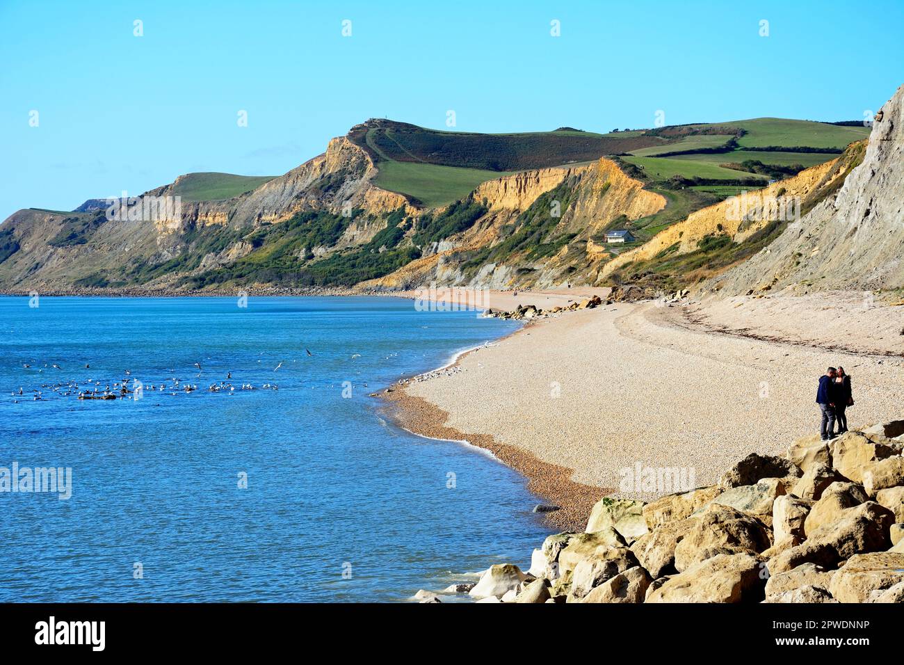 View looking West along the pebble beach towards the Jurassic Coast ...