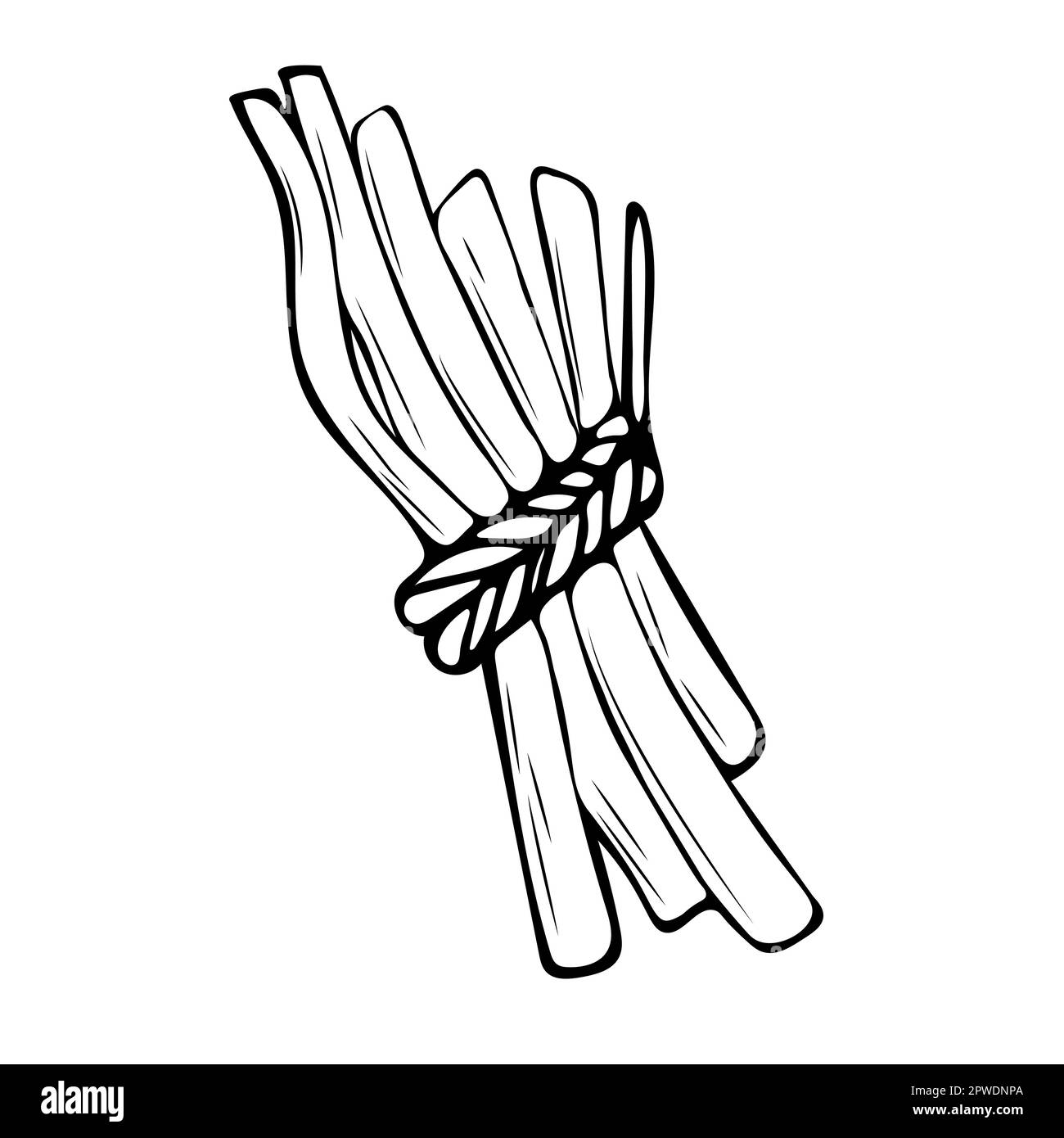 Vector illustration of hand drawn bundles of twigs Stock Vector Image ...