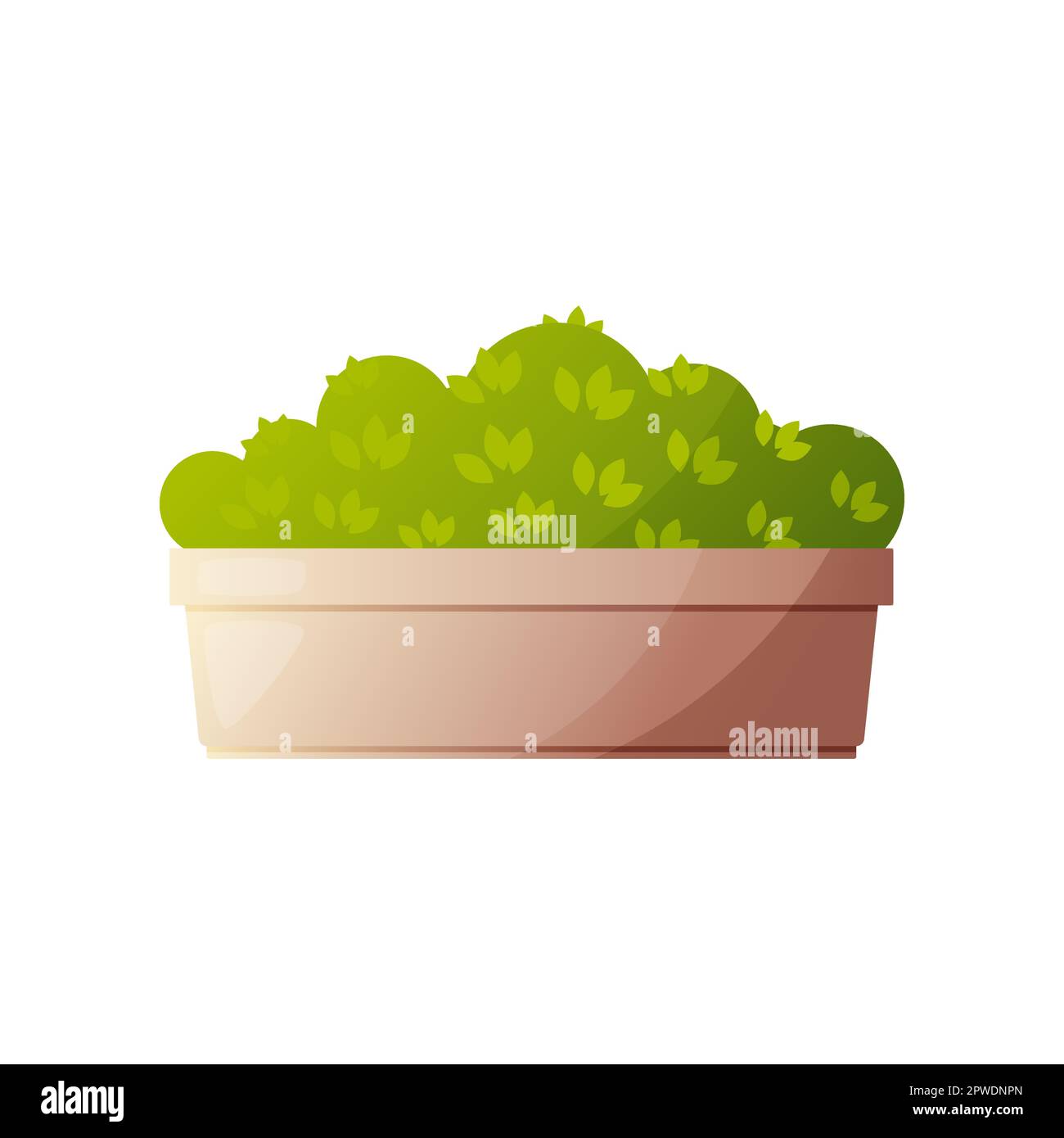 Green plant in rectangular Cut Out Stock Images & Pictures - Alamy