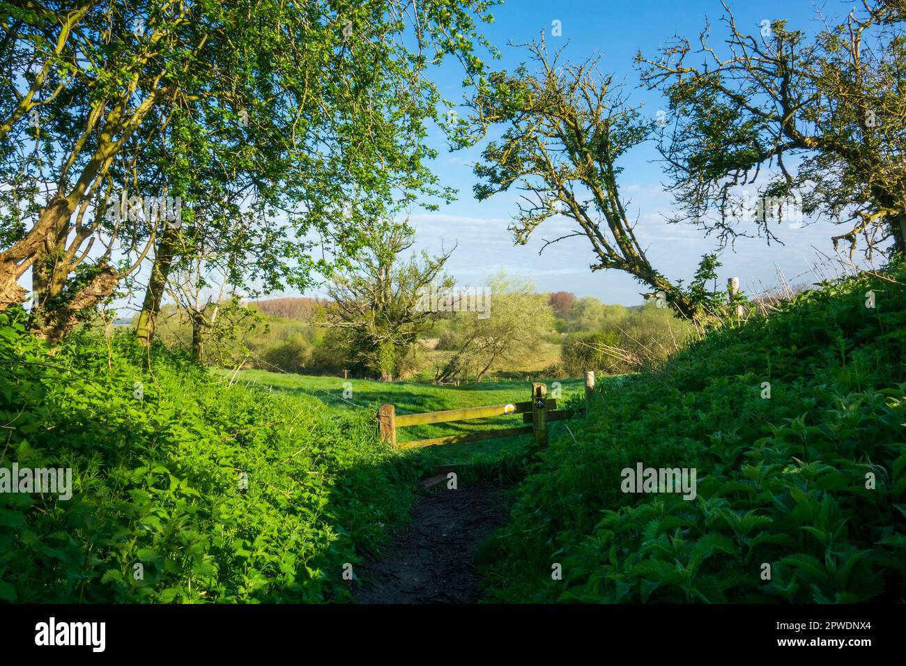 Footpath style hi-res stock photography and images - Alamy
