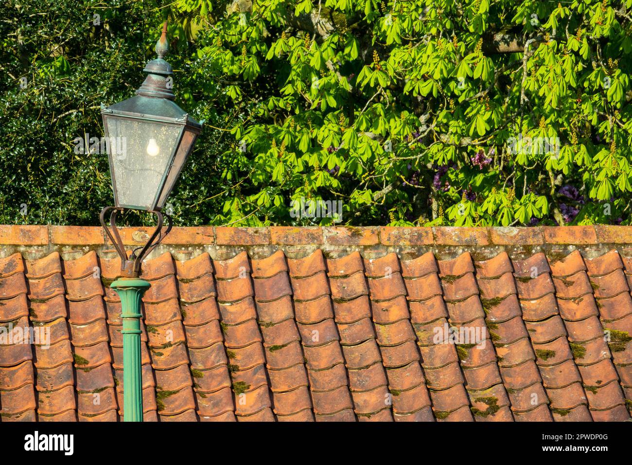 Victorian lamp post Stock Photo - Alamy