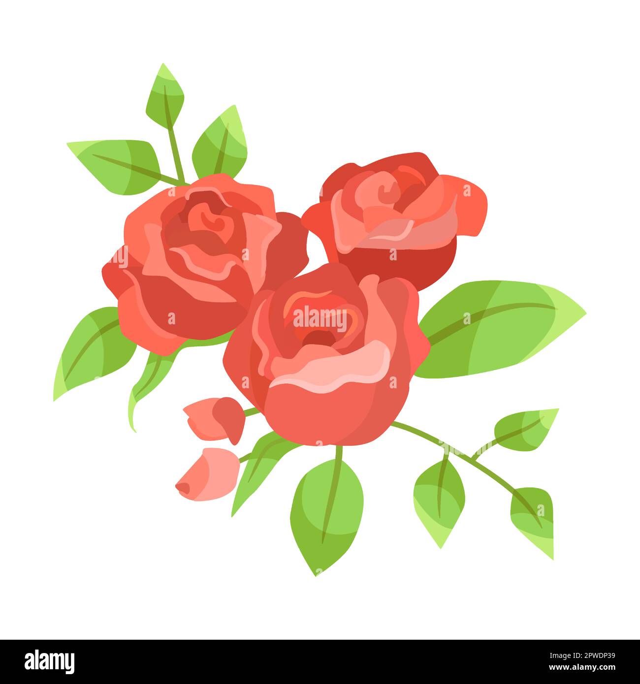 Blossoming red rose branch, cartoon illustration. Rose rosebuds with ...