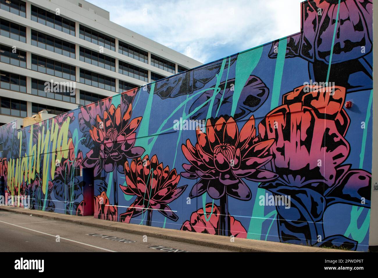 Flowers Street Art by George Rose, Darwin, NT, Australia Stock Photo ...